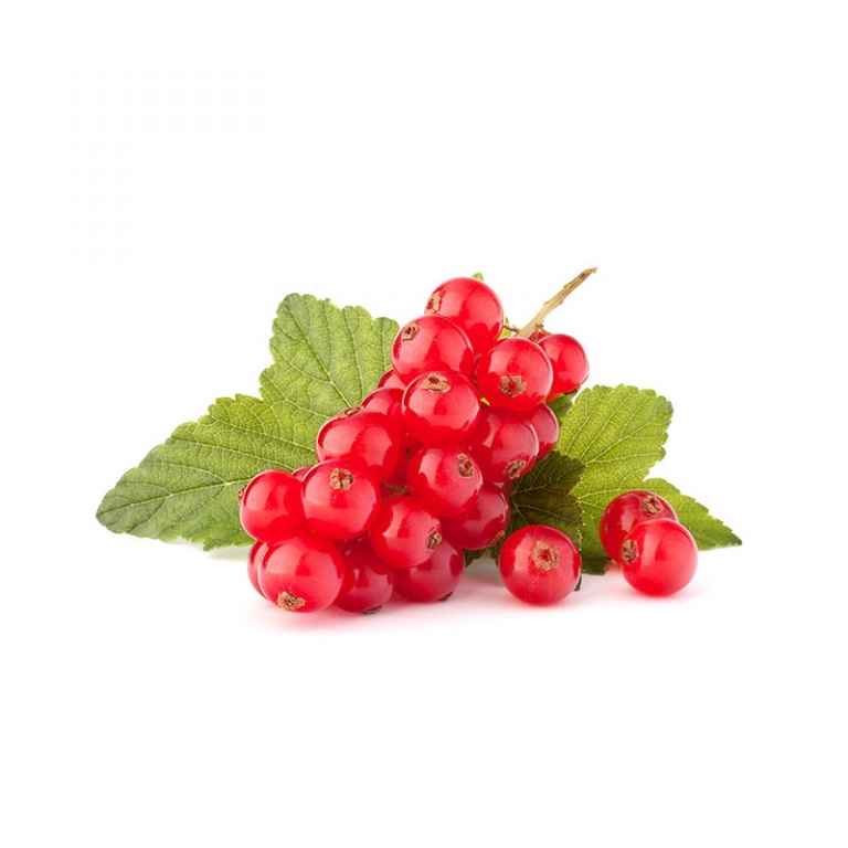 Marjad Archives - Vitamiinikuller