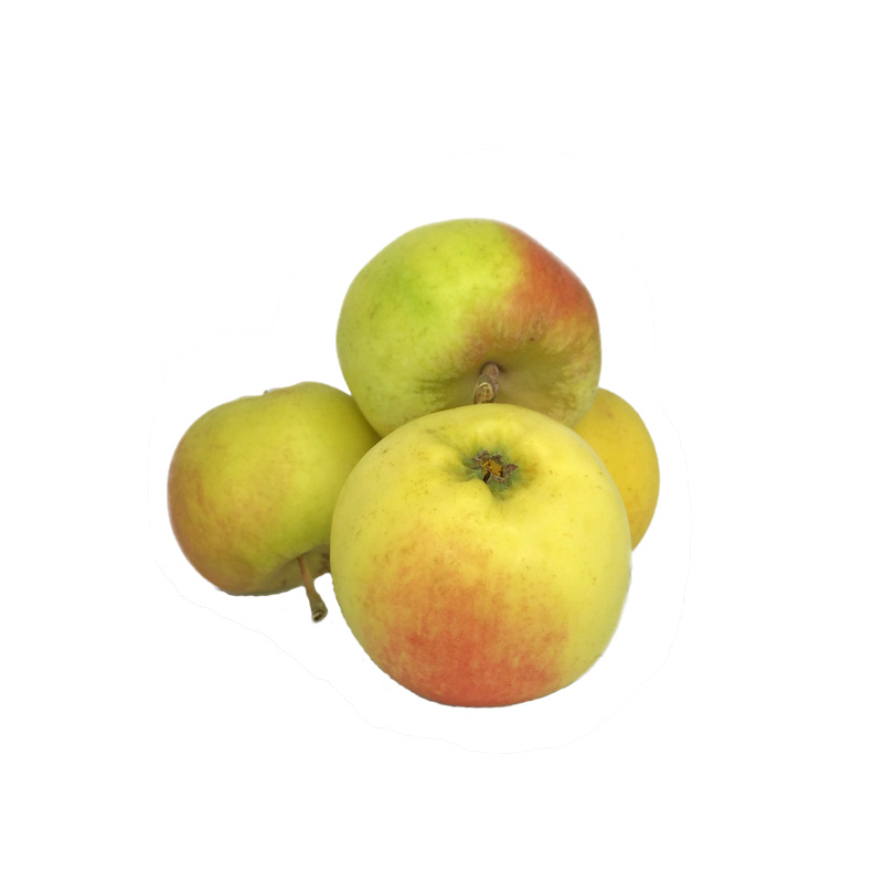 Avaleht - Vitamiinikuller